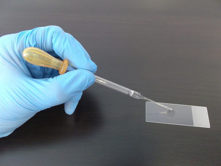 Pipeta, ¿Qué es, Precio y cómo elegirla? - Materiales para laboratorio